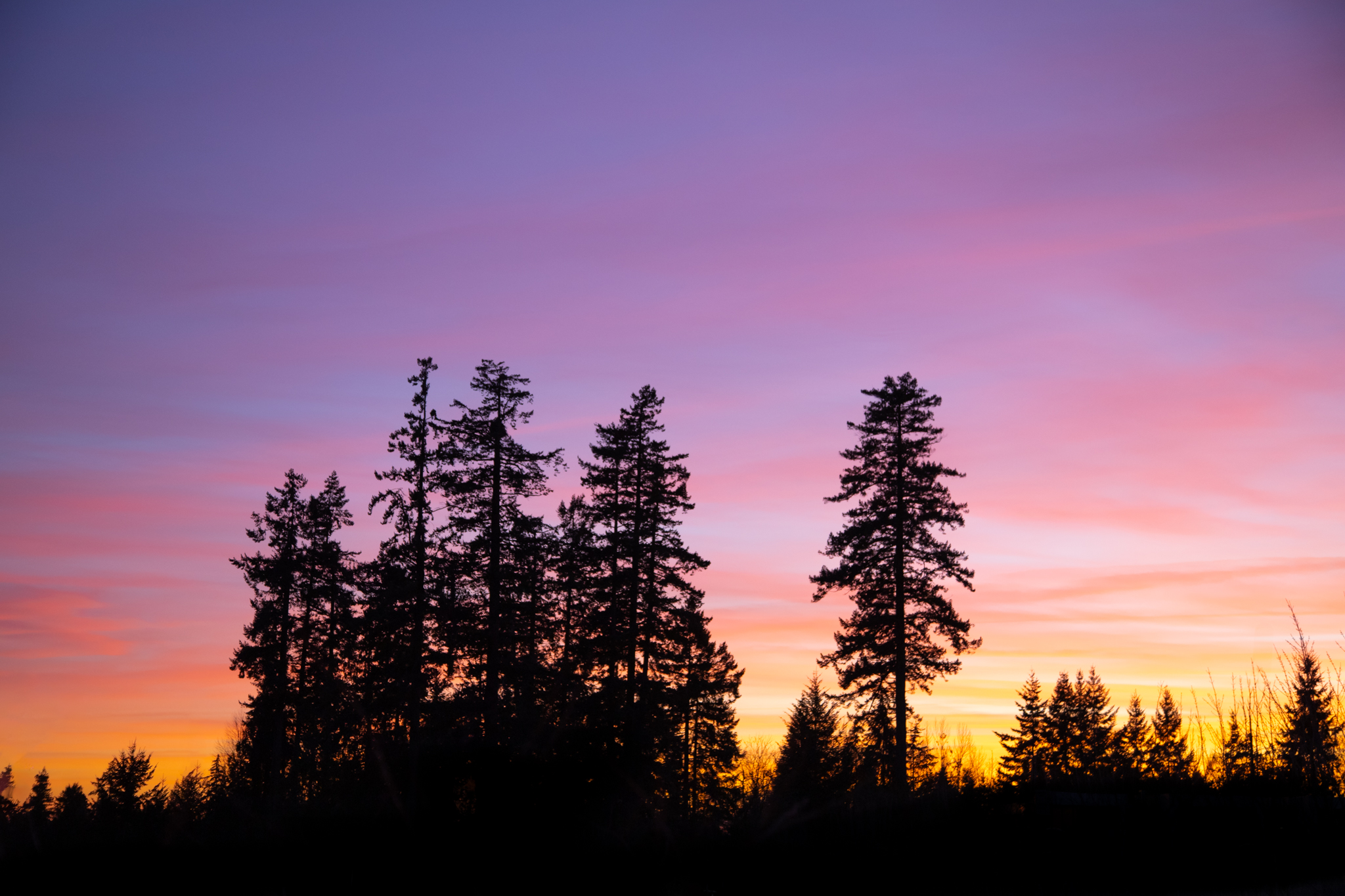 SILÊNCIO TOTAL - Angela Kirschner